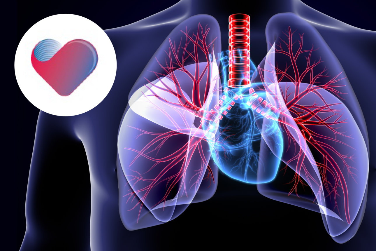 PHA UK supported research | PHA